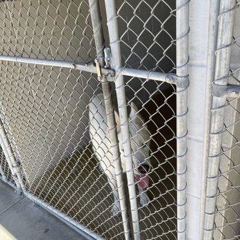 NAPA COUNTY ANIMAL SHELTER AND ADOPTION CENTER - Updated August 2025 ...