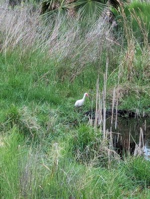 TULE MARSH EAST - Updated October 2025 - 18 Photos - 2010 Tule Park Dr ...