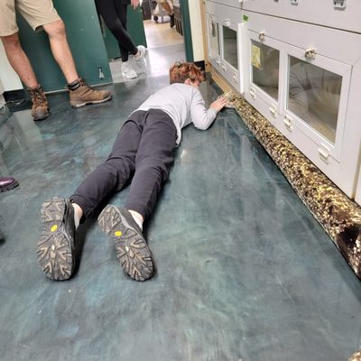 ZOO CREATURES PET STORE - Updated August 2024 - 68 Photos & 65 Reviews ...