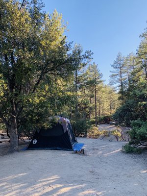SAN JACINTO STATE PARK IDYLLWILD CAMPGROUND - Updated December 2024 ...