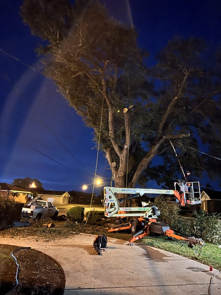 ROUSES TREE & LANDSCAPING SERVICES - Updated November 2025 - 49 Photos ...