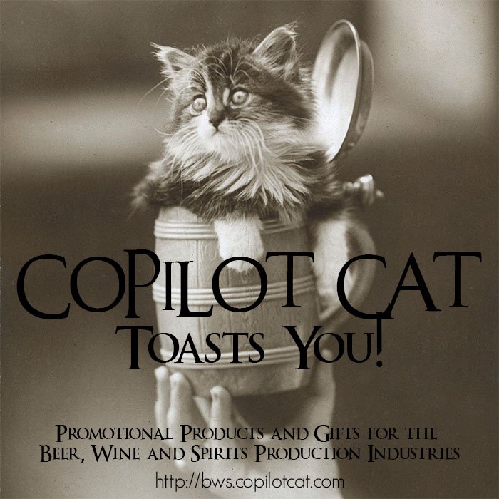 COPILOT CAT - 12316 W 9th Ave, Airway Heights, Washington - Advertising ...