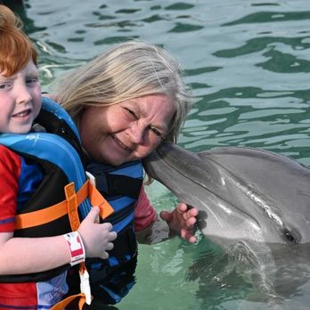 DOLPHIN CONNECTION - Updated December 2025 - 31 Photos & 38 Reviews ...