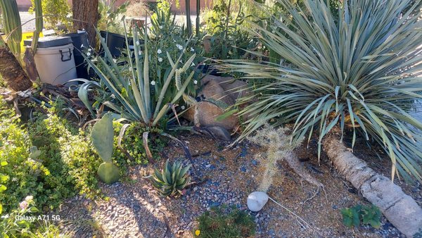 TREELAND NURSERIES - Updated January 2026 - 65 Photos & 81 Reviews ...