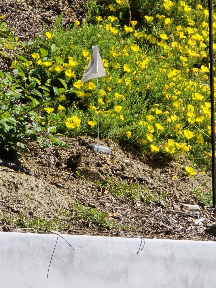 ANAHEIM HILLS GOPHER SERVICE - Updated May 2025 - 17 Photos & 53 ...