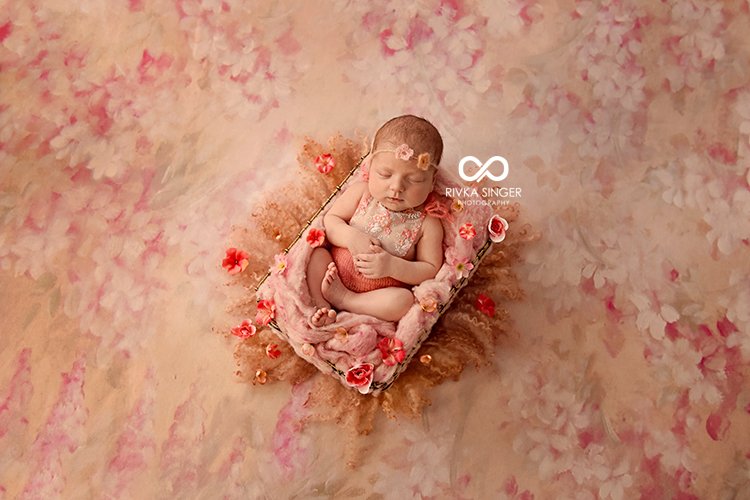 RIVKA SINGER PHOTOGRAPHY - Updated October 2025 - 33 Photos - Roslyn ...