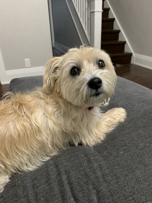 THE TAIL WAG HOTEL - Updated December 2025 - 63 Photos - 285 Garden ...