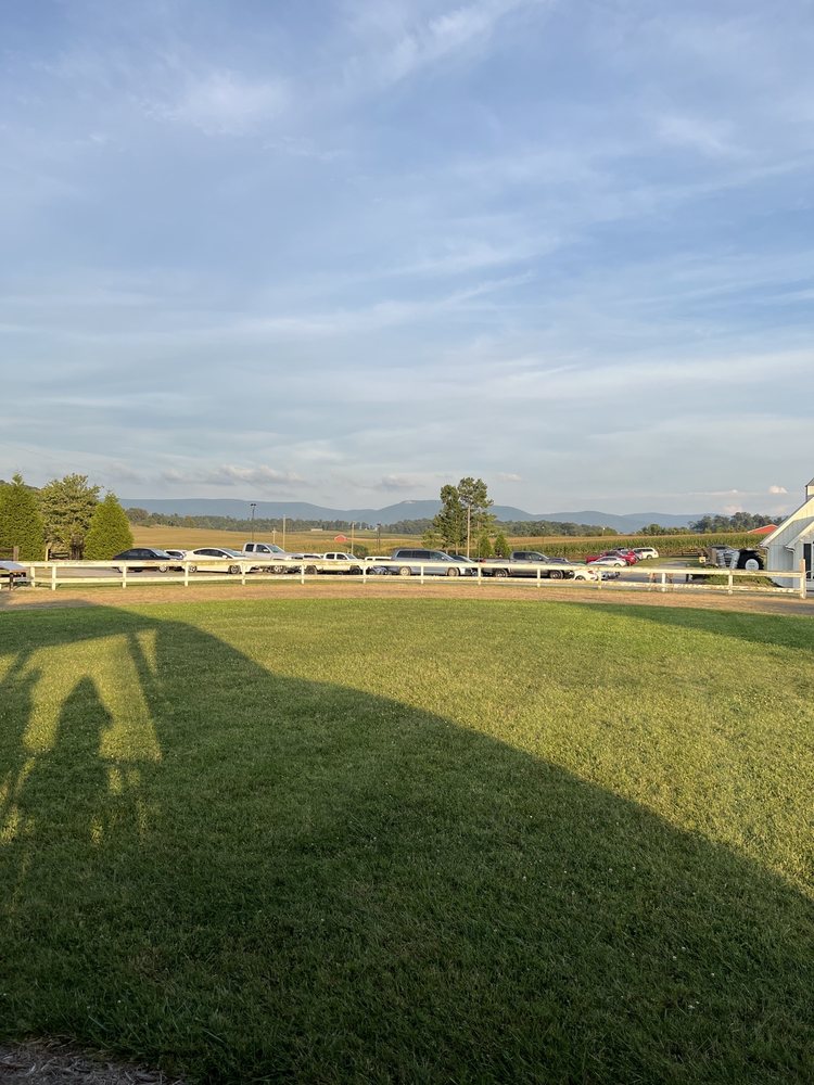 STABLE CRAFT BREWING - 181 Photos & 120 Reviews - 375 Madrid Rd ...