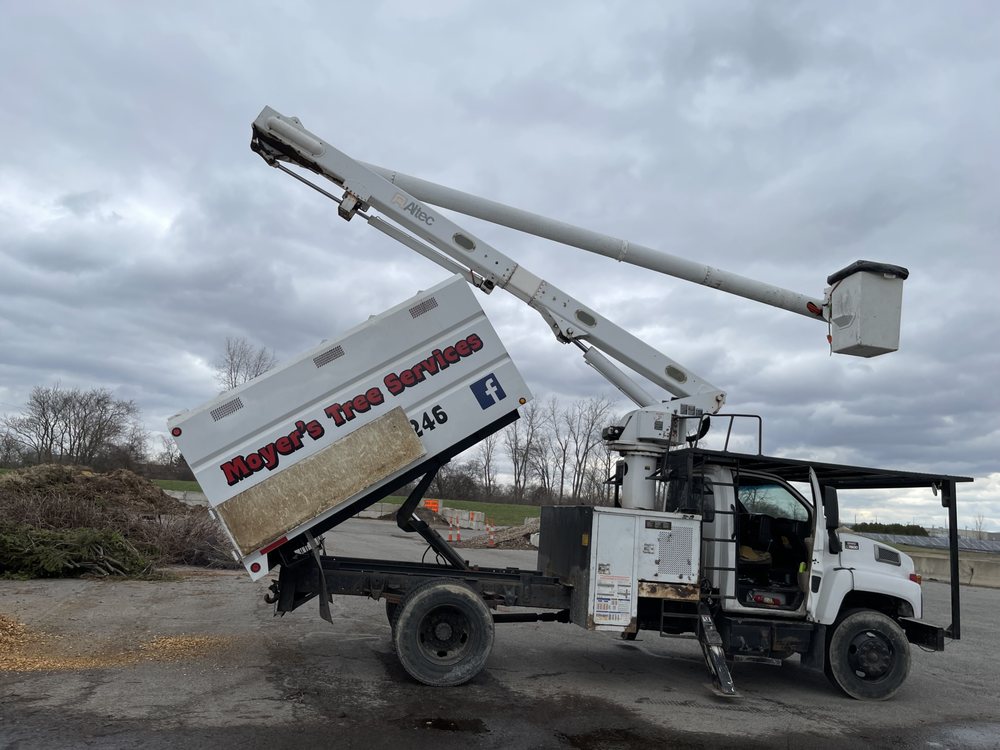MOYER’S TREE SERVICE - Updated December 2025 - 68 Photos - 14-162 ...
