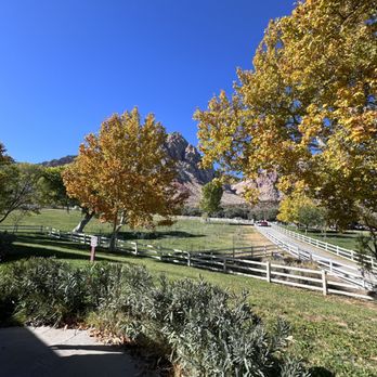 SPRING MOUNTAIN RANCH STATE PARK - Updated November 2024 - 1013 Photos ...