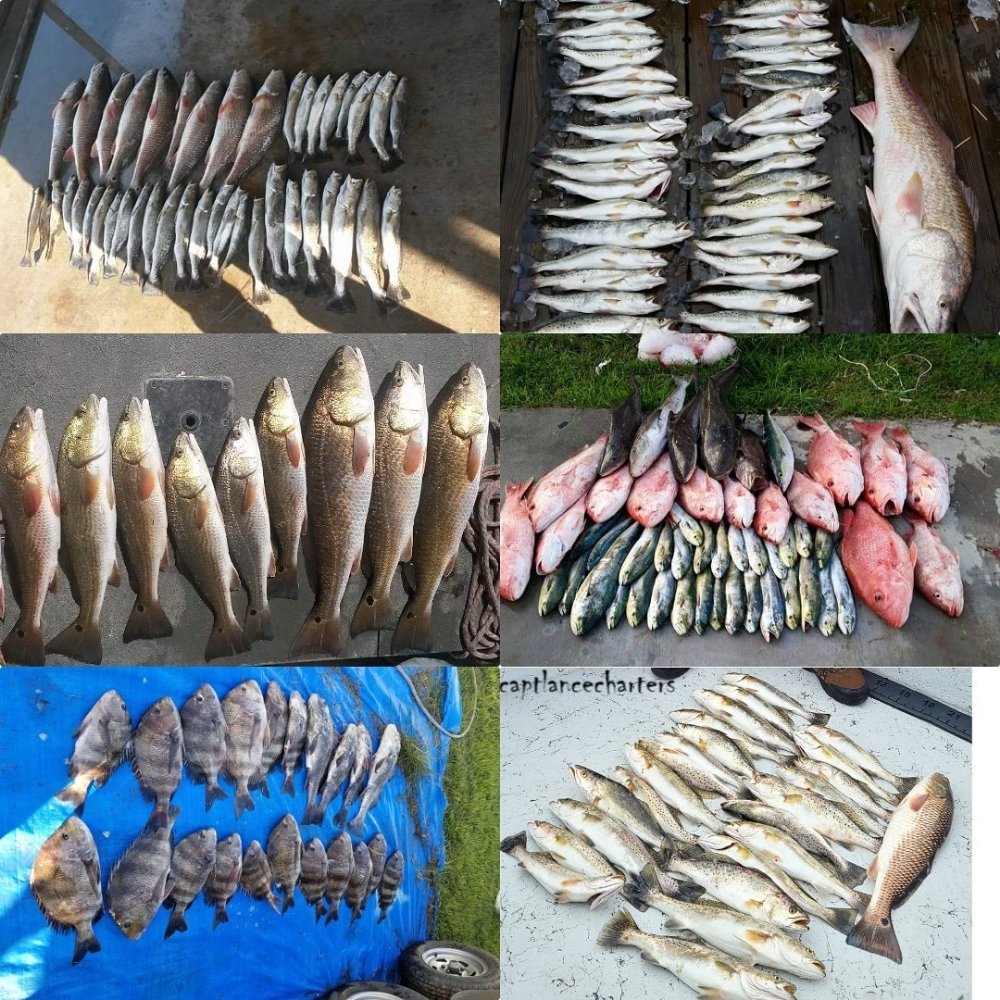 JUST PLAIN LOCO SPORTFISHING - Updated October 2025 - Request a Quote ...