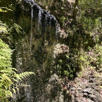 FALLING WATERS STATE PARK - Updated December 2025 - 214 Photos & 61 ...