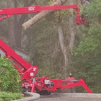 AMERICAN TREE SURGEONS - Updated May 2025 - 60 Photos - 2555 County Rd ...