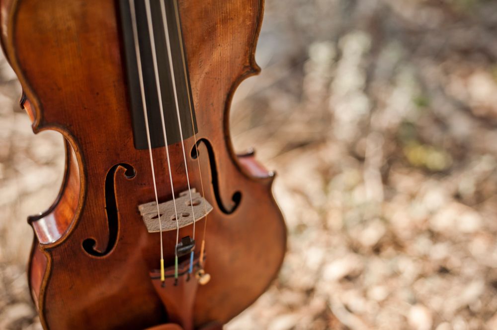 ALEXANDRA WENIG VIOLIN STUDIO - Updated March 2025 - West Linn, Oregon ...