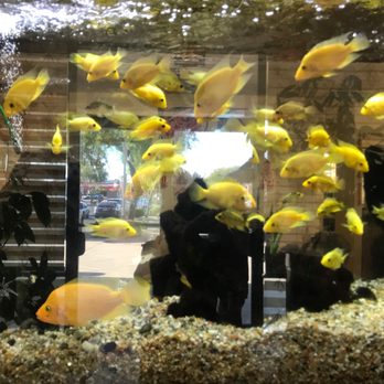 NEE HOUSE CHINESE RESTAURANT - Updated November 2024 - 524 Photos & 422 ...