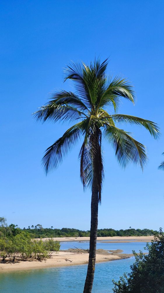 BAGAL BEACH - Updated January 2025 - 3 Tooth St, Balgal Beach ...