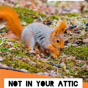 RID-A-CRITTER - Updated August 2024 - 15 Photos & 32 Reviews - Atlanta ...