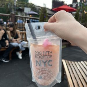 230 FIFTH ROOFTOP BAR - 3218 Photos & 4170 Reviews - 230 5th Ave, New ...