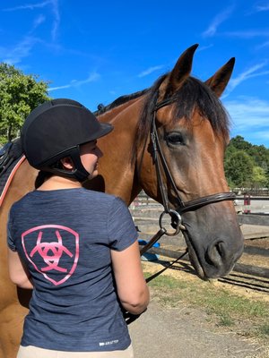 VICTORY STABLES - Updated October 2025 - 78 Photos & 12 Reviews - 121 ...