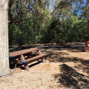 ST SIMONS PUBLIC LIBRARY - 11 Photos - 530 Beachview Dr, St. Simons ...
