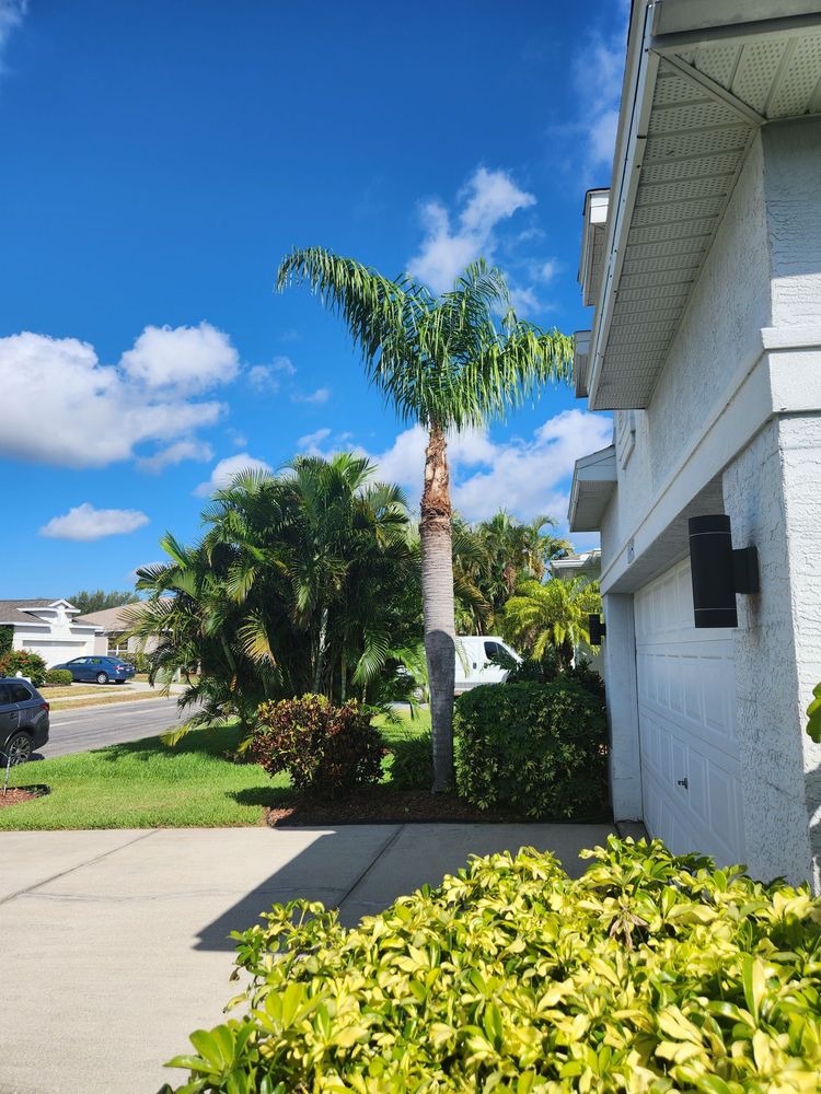 OHARAS TREE AND LAWN CARE - Updated May 2025 - 291 Photos & 11 Reviews ...