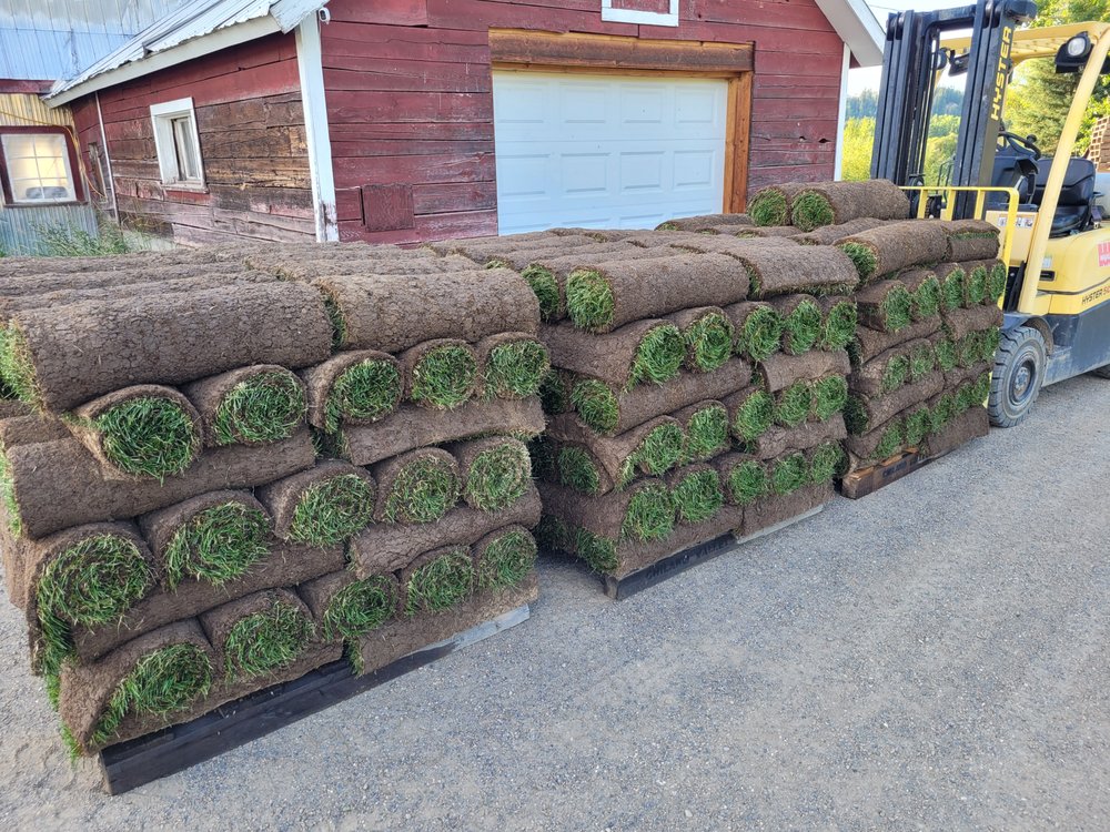 CHILAKO VALLEY TURF - Updated November 2025 - Request a Quote - 15095 ...