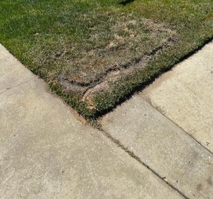 RIPPLE FIBER - Updated January 2026 - 14 Photos & 36 Reviews - 6000 ...