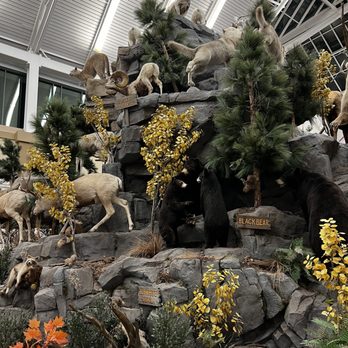 SCHEELS - Updated September 2024 - 293 Photos & 229 Reviews - 11282 S ...