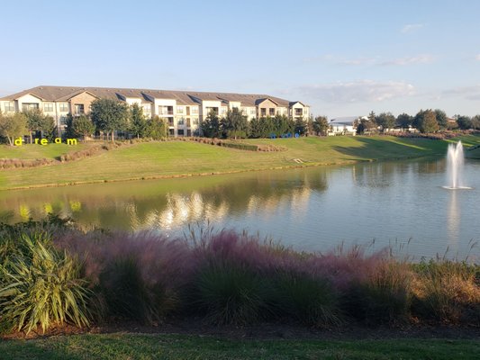 RICK RICE PARK - Updated March 2024 - 15 Photos - Westgreen Blvd, Katy ...