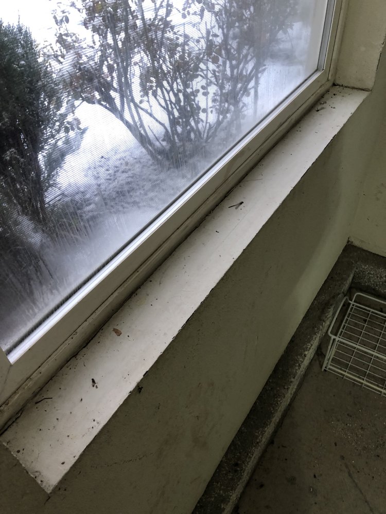 ELWOOD’S WINDOW CLEANING - Updated July 2025 - 6396 Antero Dr, Reno ...