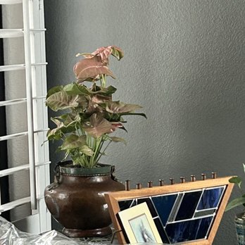 CONSIGNMENT CLASSICS - Updated October 2025 - 476 Photos & 116 Reviews ...