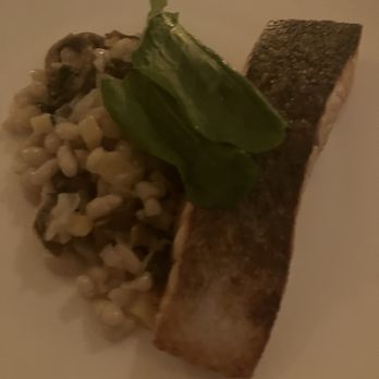 ZIMMI’S - Updated January 2026 - 93 Photos & 36 Reviews - 72 Bedford St ...