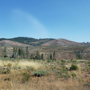 STUMPY MEADOWS - 99 Photos & 49 Reviews - Eldorado National Forest ...