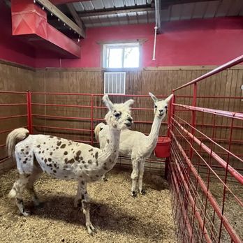 FAULKNER’S RANCH EVENT VENUE - Updated December 2025 - 126 Photos & 43 ...