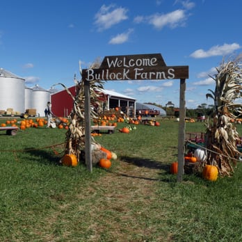 BULLOCK FARMS - Updated October 2024 - 40 Photos & 14 Reviews - 83 ...