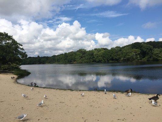 KALERS POND PARK - Updated September 2025 - 13 Photos - Montauk Hwy ...