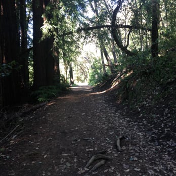 LAKE LAGUNITAS - Updated December 2025 - 96 Photos & 26 Reviews ...