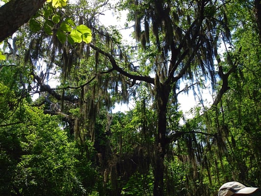 SHELL MOUND PARK - Updated November 2024 - 2 N Iberville St, Dauphin ...