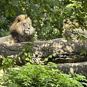 ZOO ATLANTA - Updated December 2024 - 2905 Photos & 664 Reviews - 800 ...