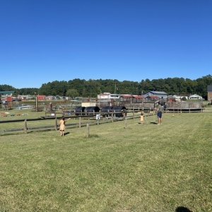 PHILLIPS FARMS - 146 Photos & 41 Reviews - Farmers Market - 6701 Good ...