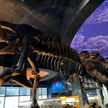 CERRITOS LIBRARY - Updated August 2024 - 1488 Photos & 476 Reviews ...