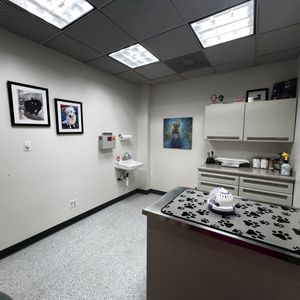 HIGH RIDGE ANIMAL HOSPITAL - Updated June 2025 - 13 Reviews - 2612 ...