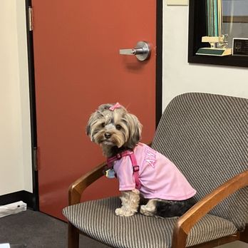 BEACH GARFIELD VETERINARY HOSPITAL - Updated July 2024 - 102 Photos ...