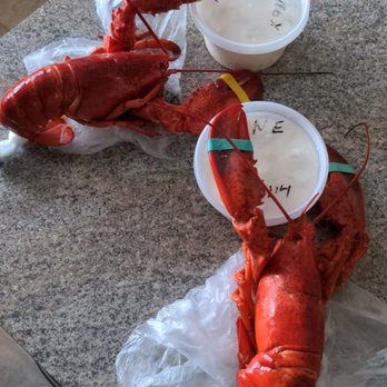 COLD HARBOR SEAFOOD & MARKET - Updated January 2025 - 68 Photos & 91 ...