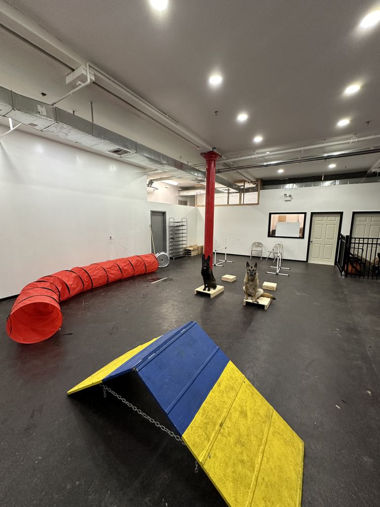 METRO DOG TRAINING - Updated September 2024 - 65 Photos & 52 Reviews ...