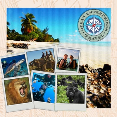 OCEAN ENTERPRISES - Updated May 2026 - 116 Photos & 322 Reviews - 7710 ...