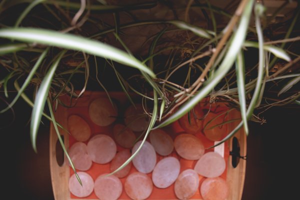 BUFFALO HOLISTIC CENTER - Updated November 2025 - 35 Photos & 29 ...