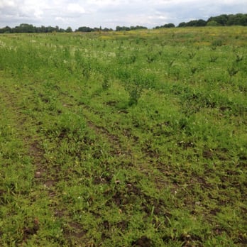 KENYON HALL FARM - Updated May 2025 - Winwick Lane, Warrington ...