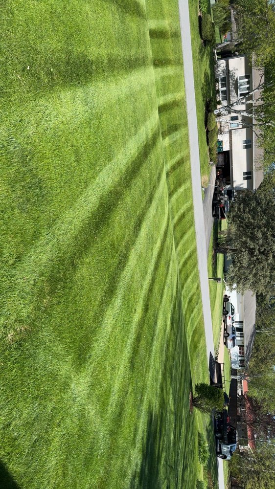 NICKS HANDY SERVICES - Updated September 2025 - 13 Photos - Madison ...