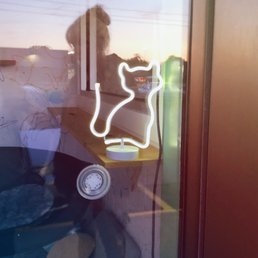 TOE BEANS CAT CAFE - Updated May 2026 - 46 Photos - 119 Peter Street ...